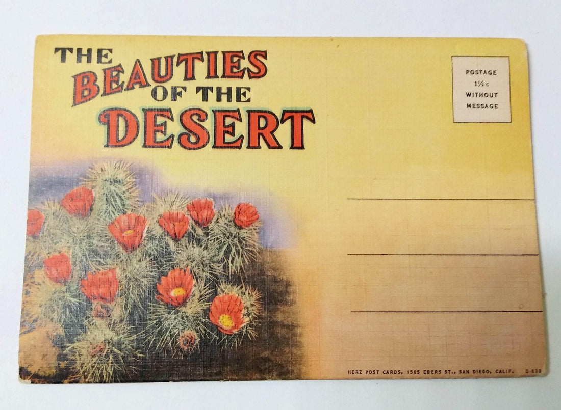 Beauties Of The Desert American Southwest Postcard Booklet 1940's ...